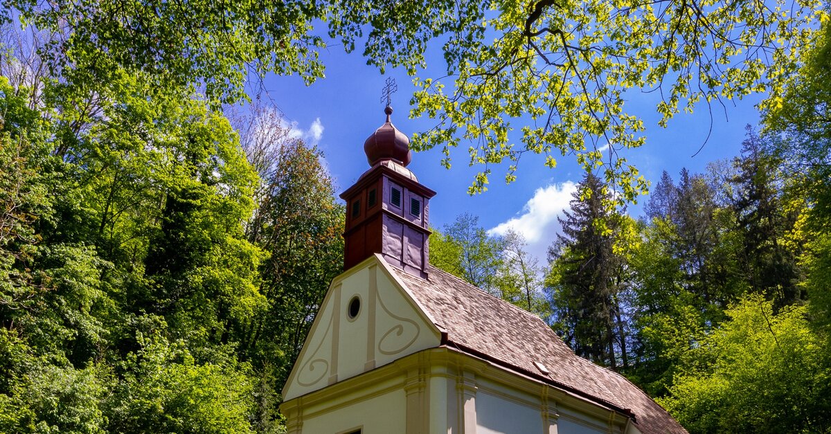 Wandern in Graz: Andritzer Rundweg | Graz Tourismus