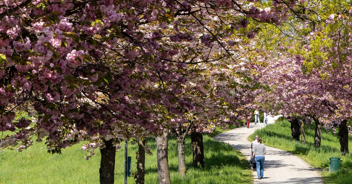 Stroll between Rosenhain and Mariagrün | Graz Tourismus