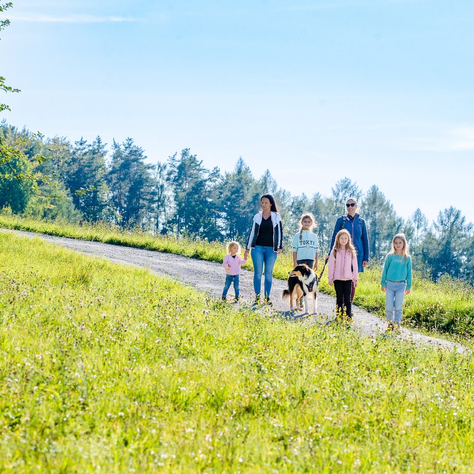 ppc Graz | Tanzlokal/Club/Nightlife in der Neubaugasse in Graz