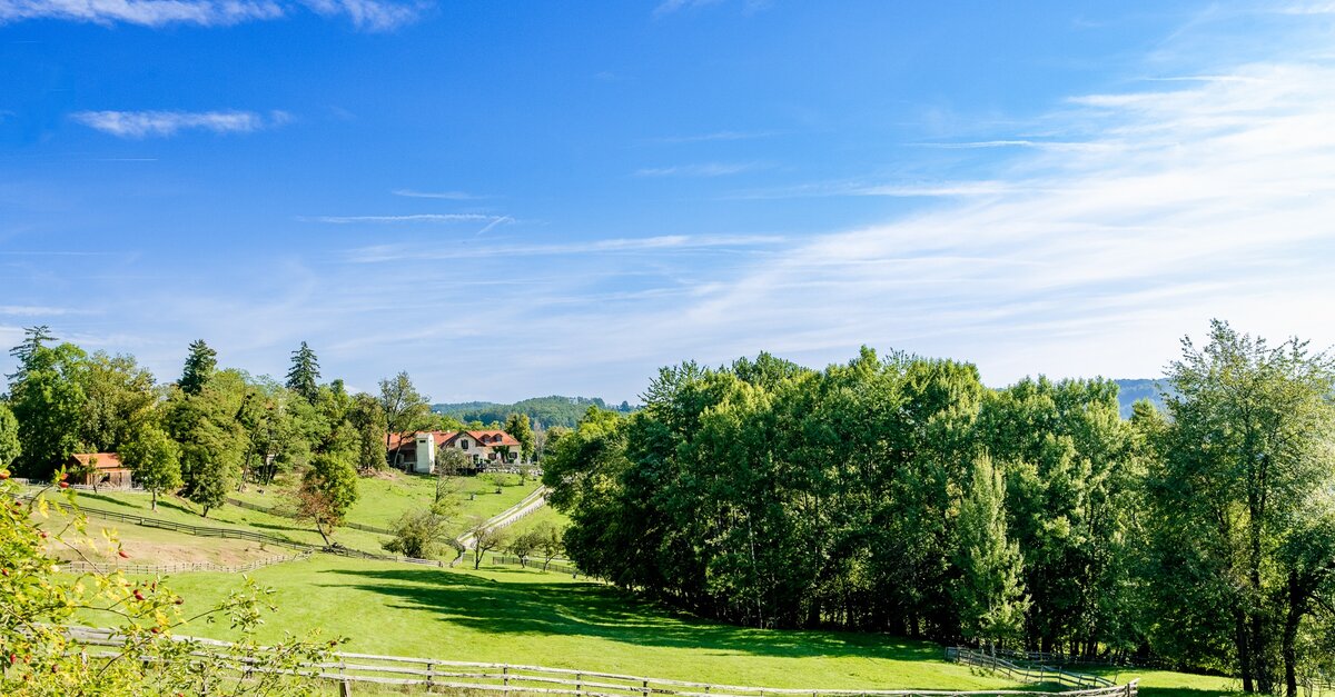 Fun(ny) walk at the Lustbühel | Graz Tourismus