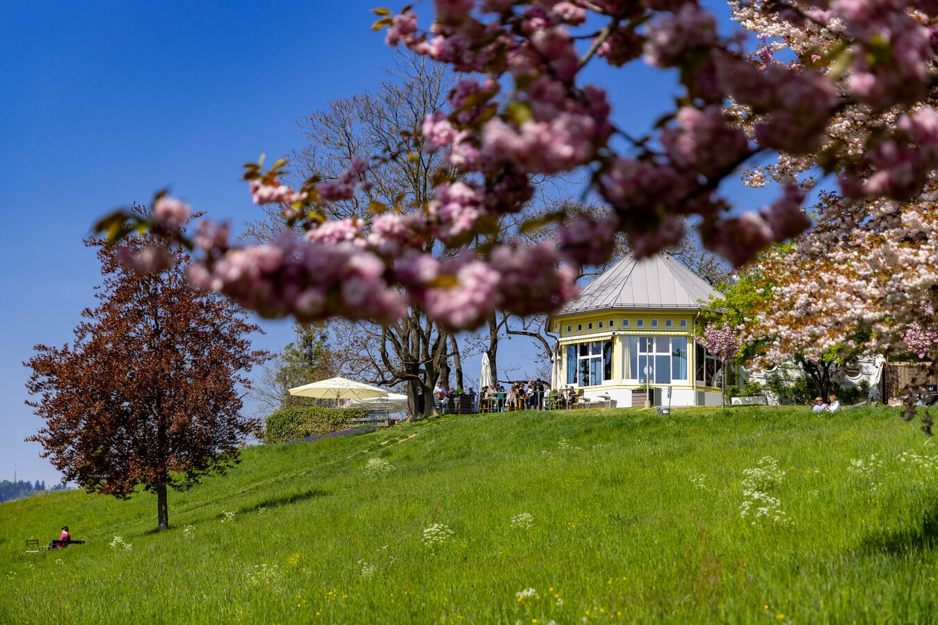 Rosenhain | Sehenswürdigkeiten in Graz