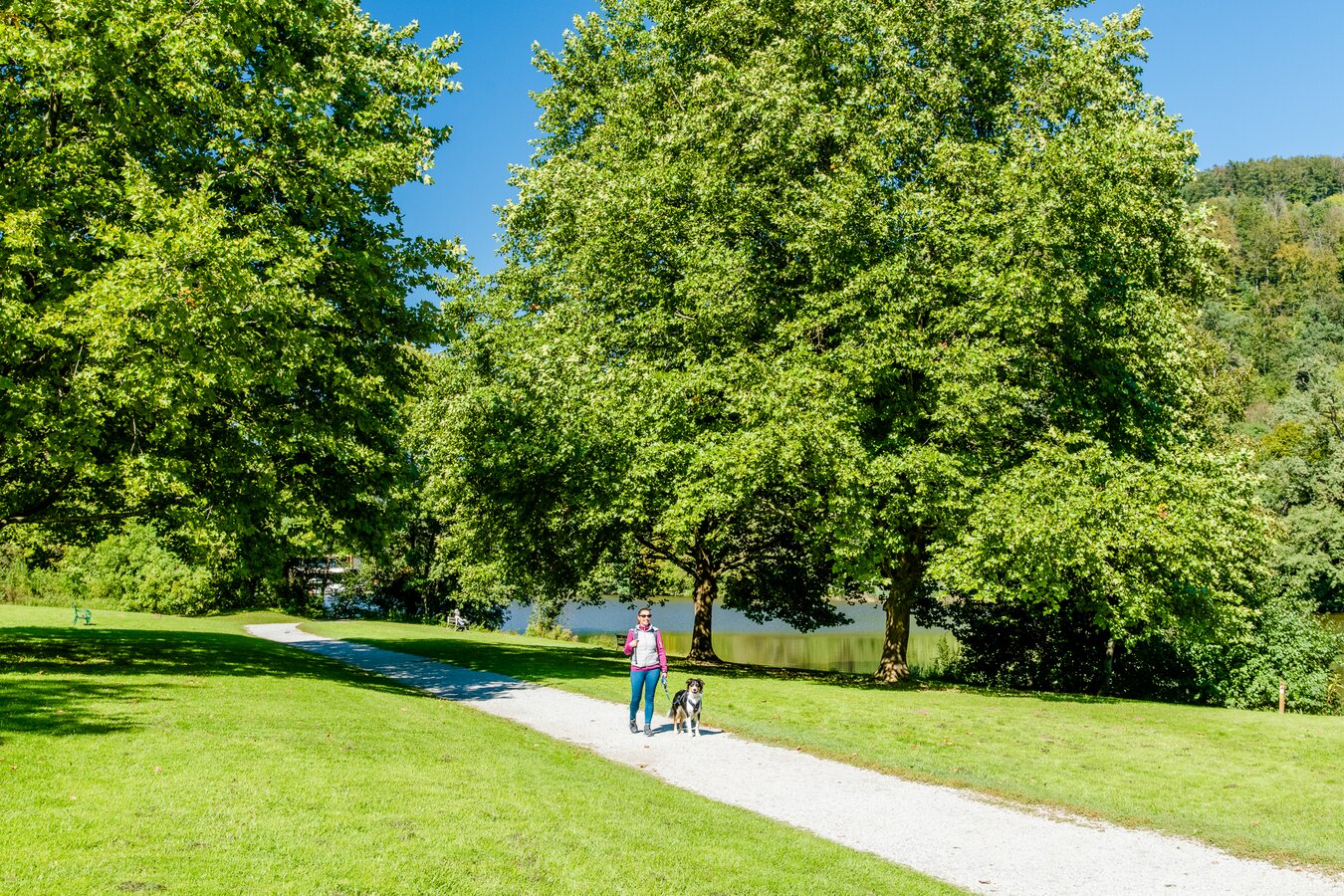 Spazieren & Wandern mit Hund in Graz I Steiermark