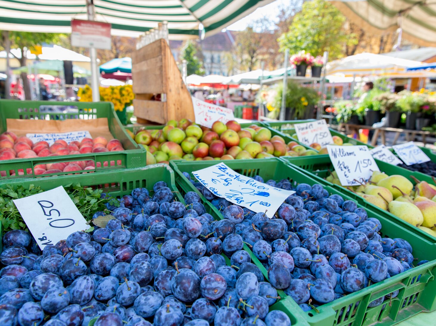 Bauernmärkte in Graz | frische Produkte direkt vom Bauernmarkt
