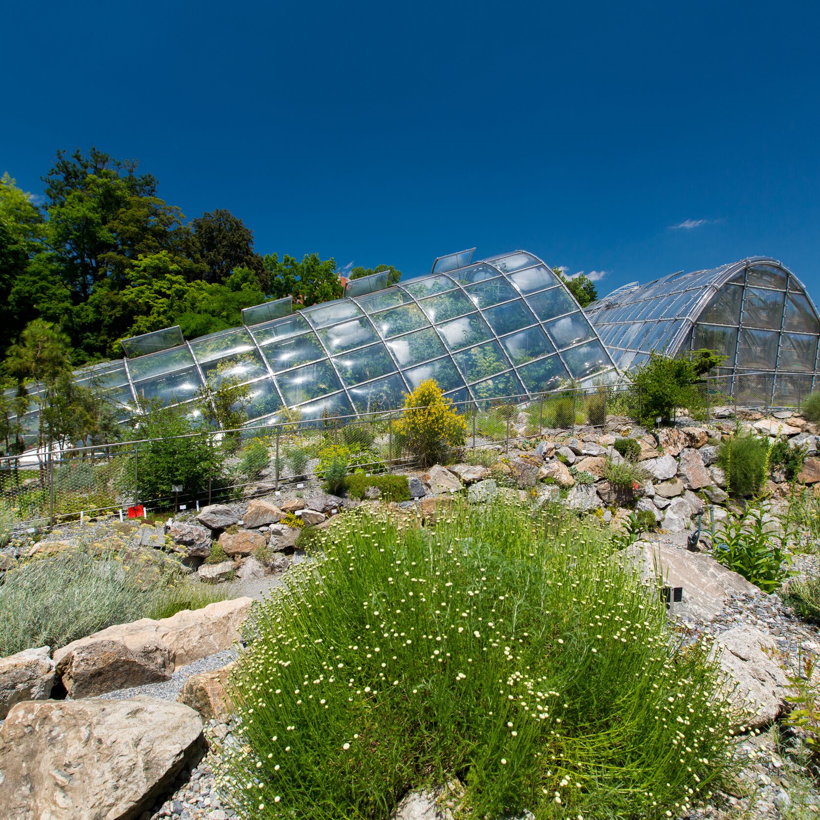 Botanical Gardens Graz | Sightseeing in Graz