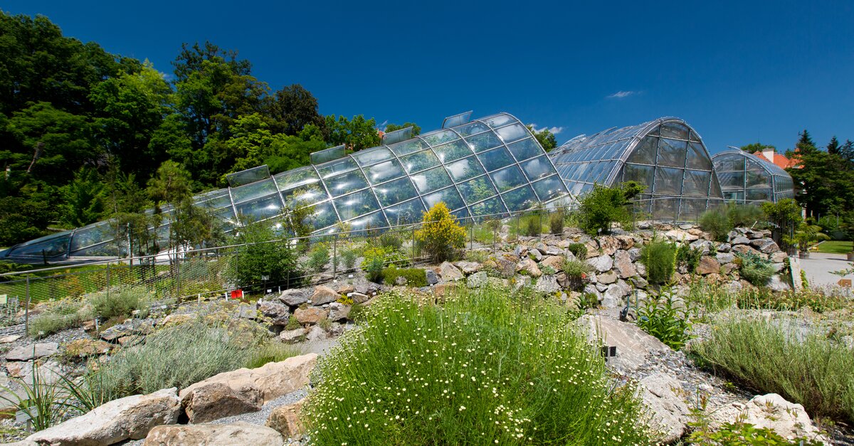 Botanischer Garten Graz | Infos, Öffnungszeiten & Eintritt
