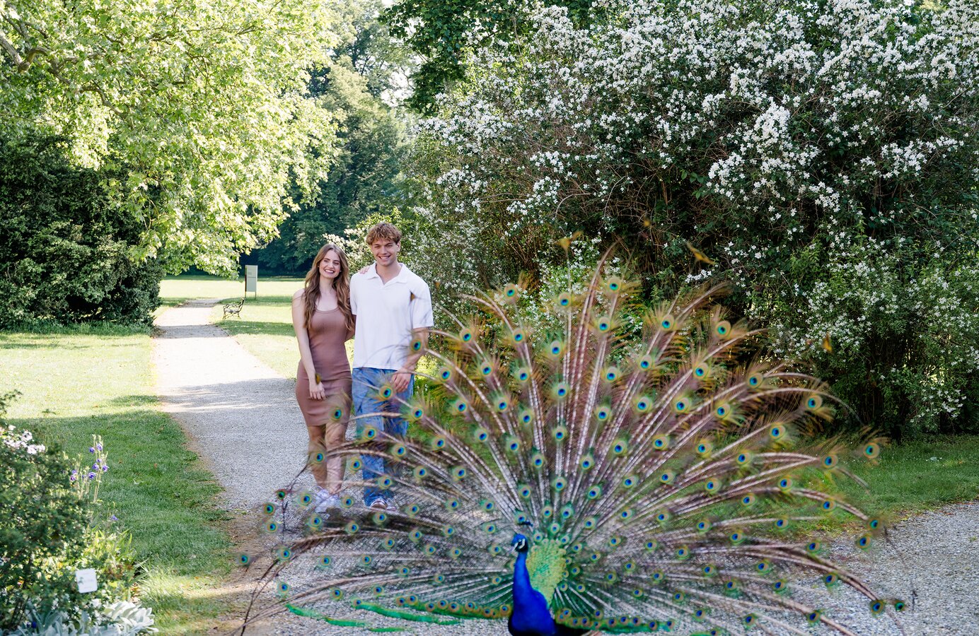 Eggenberg Palace Graz | Sight in Graz | Austria | Sightseeing in Graz