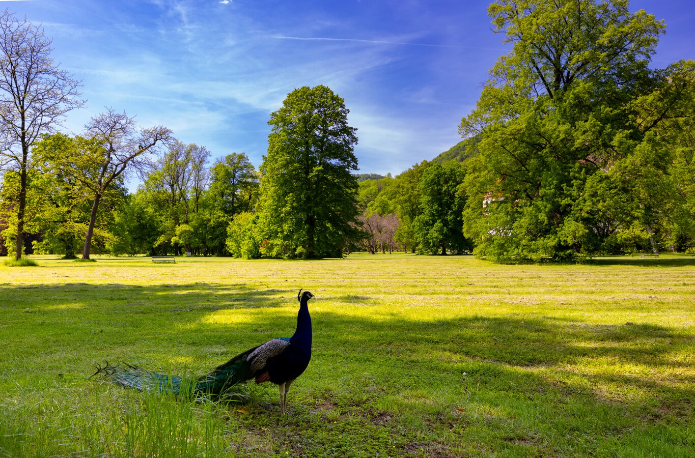 Schloss Eggenberg - Park & Gärten | Sehenswürdigkeiten in Graz