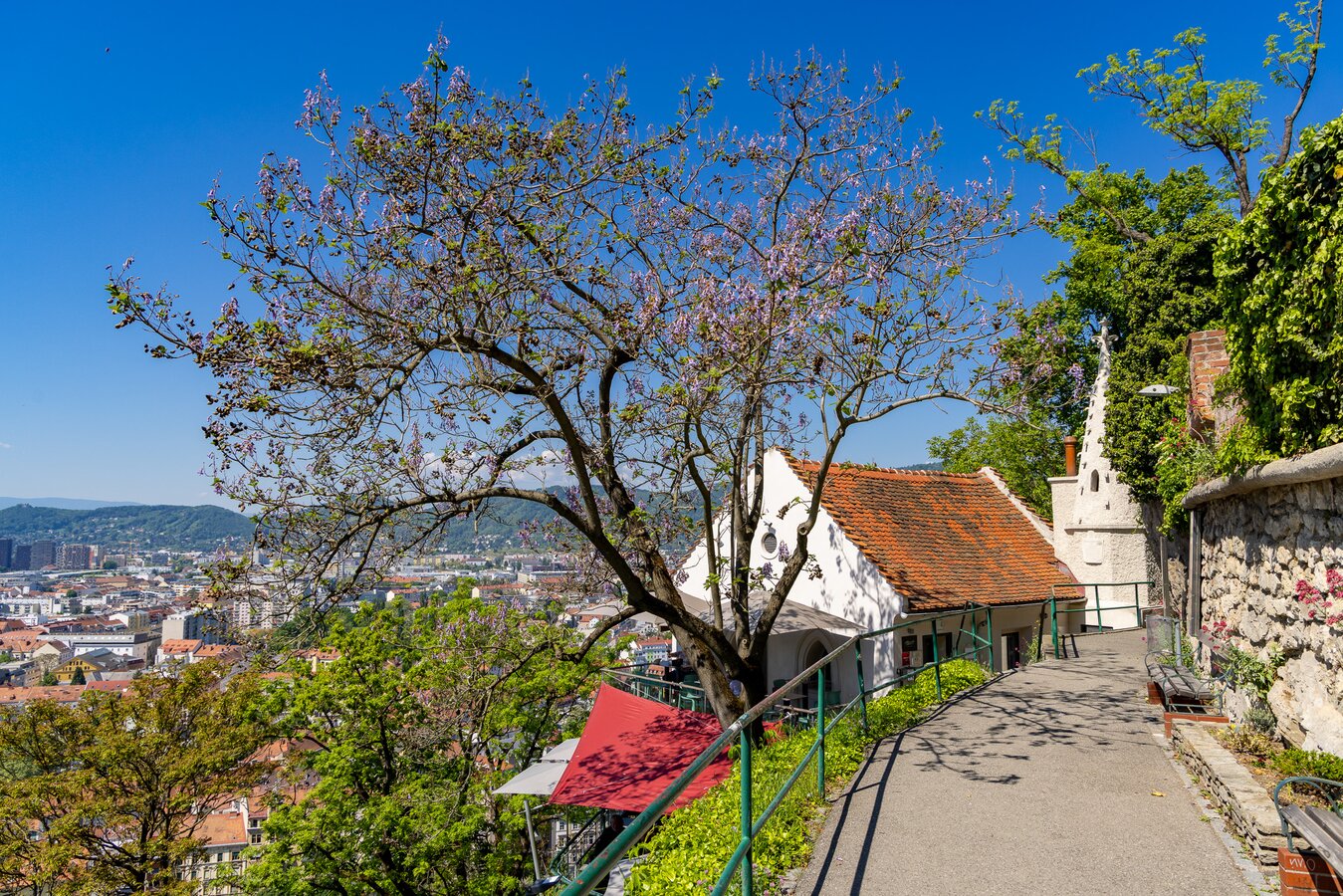 Princess Tree I Schlossberg Graz | Sightseeing in Graz