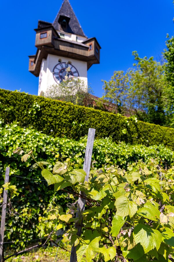 Herbersteingarten I Schlossberg Graz | Sehenswürdigkeiten in Graz