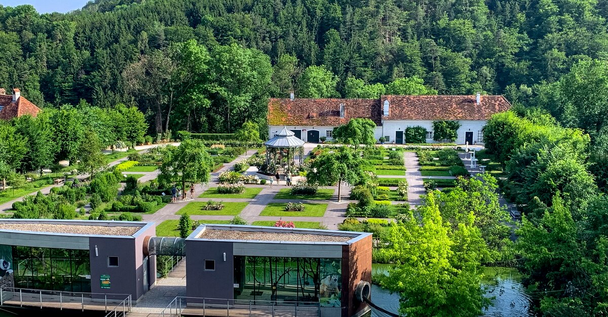 Herberstein Animal World & Garden Palace | Sightseeing in Graz